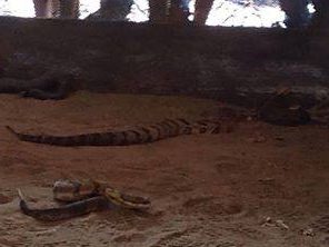 Events – Sinnemahoning Sportsmen’s Club